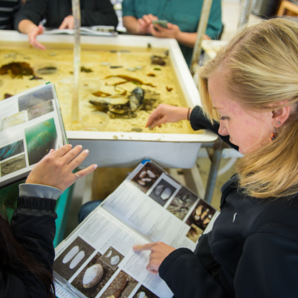 For Students | Marine and Coastal Opportunities | Oregon State University